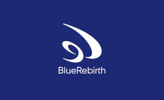 Solution | BlueRebirth ブルーリバース